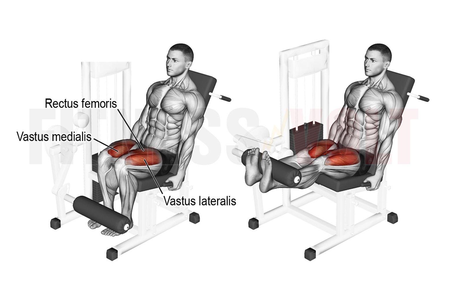Leg extensions Amaze View